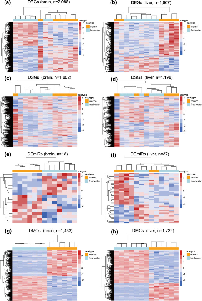 The interplay between epigenomic and transcriptomic variation during ...