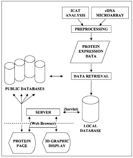 PROTEOME-3D: An Interactive Bioinformatics Tool for Large-Scale Data Exploration and Knowledge ...