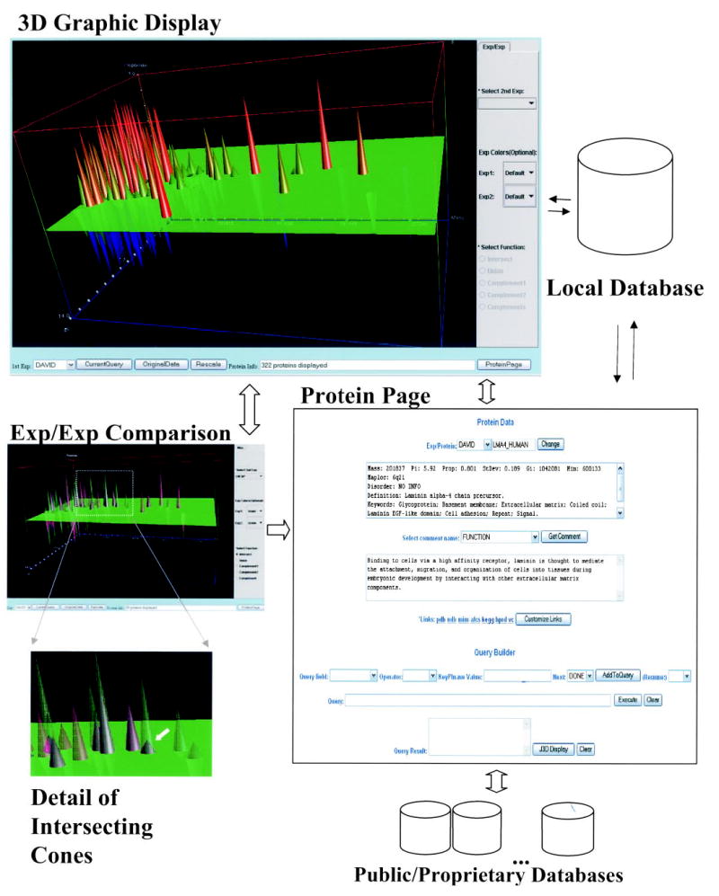 PROTEOME-3D: An Interactive Bioinformatics Tool for Large-Scale Data ...