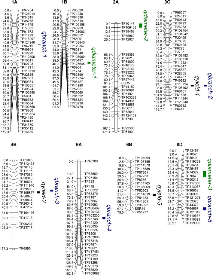 High-density linkage map construction and mapping QTL for yield and yield components in ...