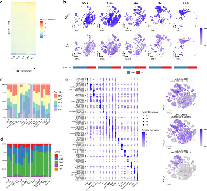 The spatial and cellular portrait of transposable element expression during gastric cancer - PMC