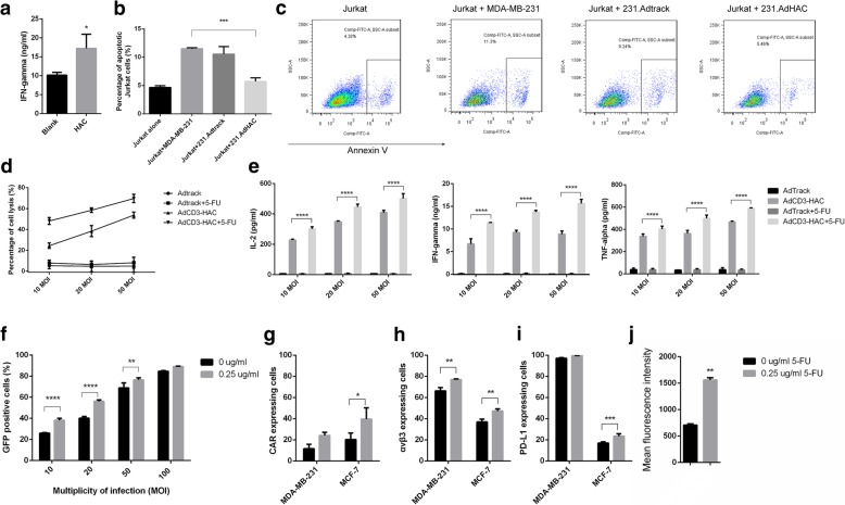 Bispecific CD3-HAC carried by E1A-engineered mesenchymal stromal cells against metastatic breast ...