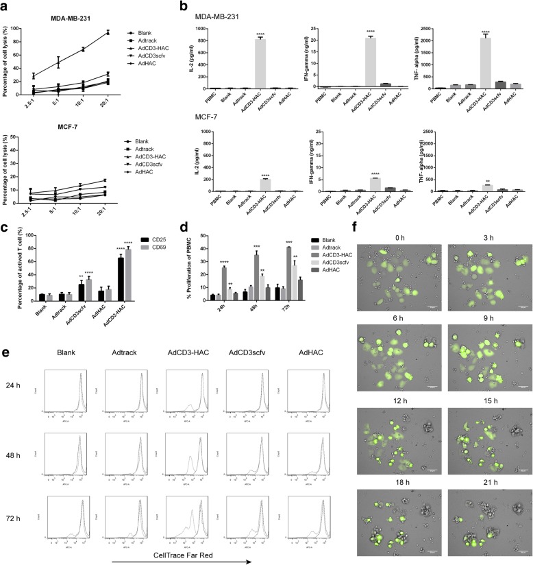 Bispecific CD3-HAC carried by E1A-engineered mesenchymal stromal cells against metastatic breast ...