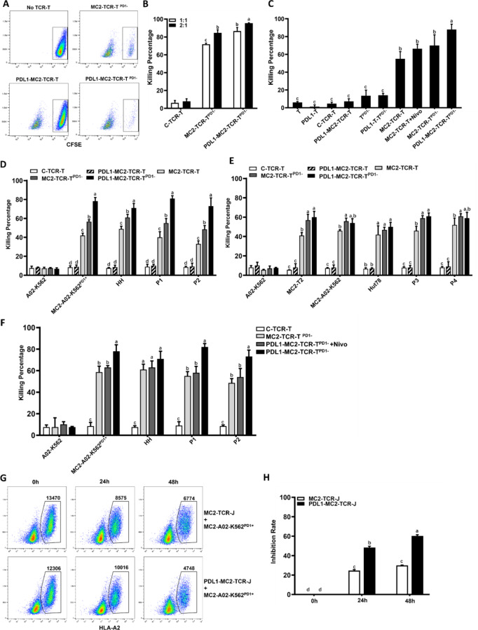 Engineered PD-L1 co-expression in PD-1 knockout and MAGE-C2-targeting ...