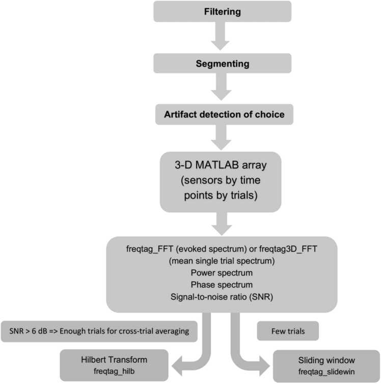 The FreqTag toolbox: A principled approach to analyzing ...