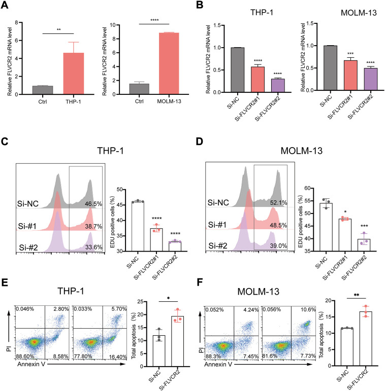 The prognostic marker FLVCR2 associated with tumor progression and immune infiltration for acute ...