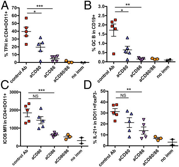 CTLA-4 controls follicular helper T-cell differentiation by regulating the strength of CD28 ...