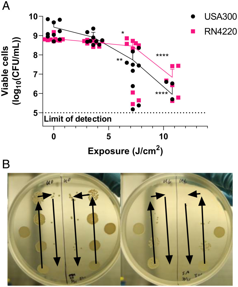 Breaking down antibiotic resistance in methicillin-resistant ... Breaking down antibiotic resistance in methicillin-resistant ...