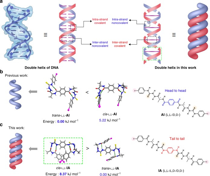 Single-handed supramolecular double helix of homochiral bis(N-amidothiourea) supported by double ...