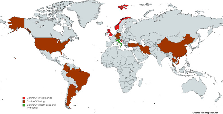 Canine circovirus: an emerging virus of dogs and wild canids - PMC