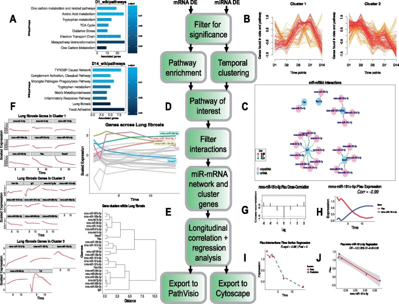 TimiRGeN: R/Bioconductor package for time series microRNA–mRNA integration and analysis - PMC