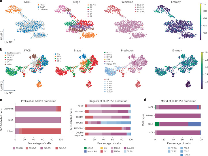 Deep learning-based models for preimplantation mouse and human embryos ...