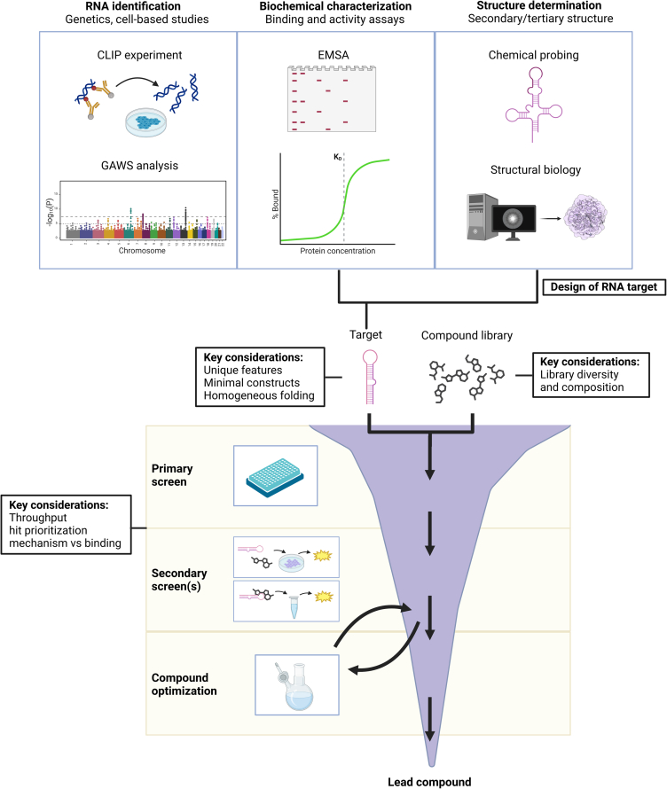 Advancements in clinical RNA therapeutics: Present developments and prospective outlooks - PMC