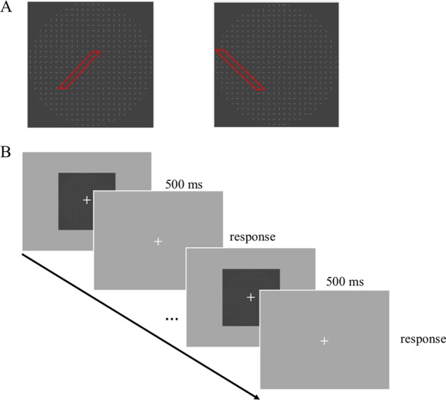 Heritability of human visual contour integration—an integrated genomic ...