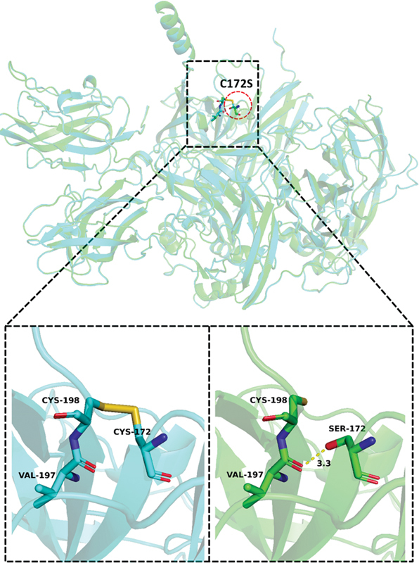 Molecular Diagnosis Of Hemophilia A And Pathogenesis Of Novel F8 Variants In Shanxi China Pmc