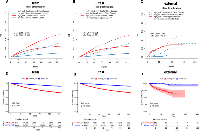 Development and validation of competing risk nomograms for predicting cancer‑specific mortality ...