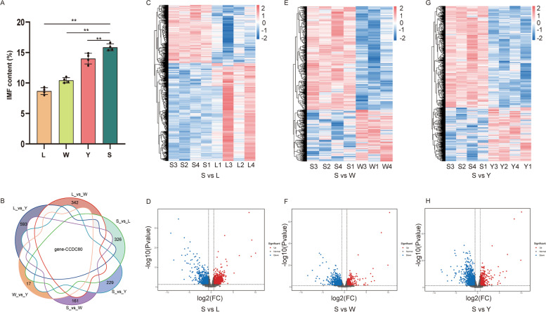 Integrated multi-omics analysis reveals variation in intramuscular fat ...