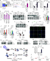 NSUN5/TET2-directed chromatin-associated RNA modification of 5-methylcytosine to 5 ...
