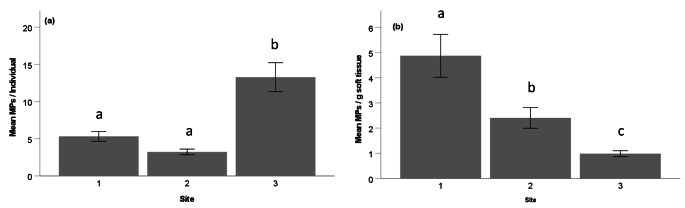 Characteristics and Risk Assessment of Microplastics in Water and Mussels Sampled from Cape Town ...