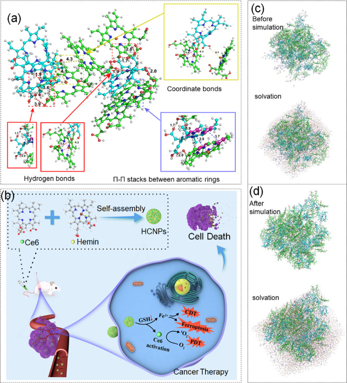 Application of molecular dynamics simulation in self-assembled cancer ...