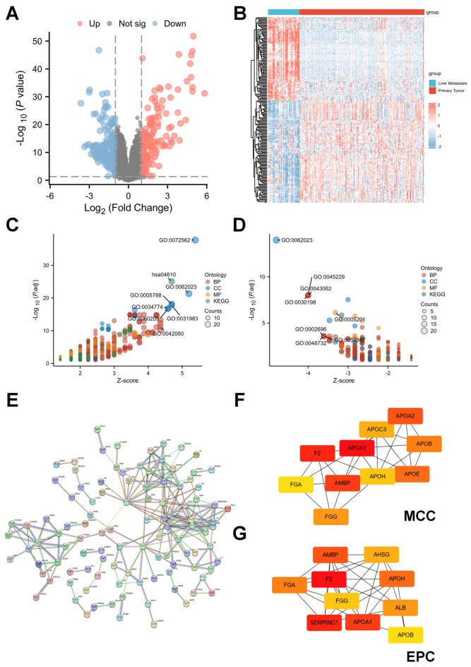 Machine learning-based screening and validation of liver metastasis ...