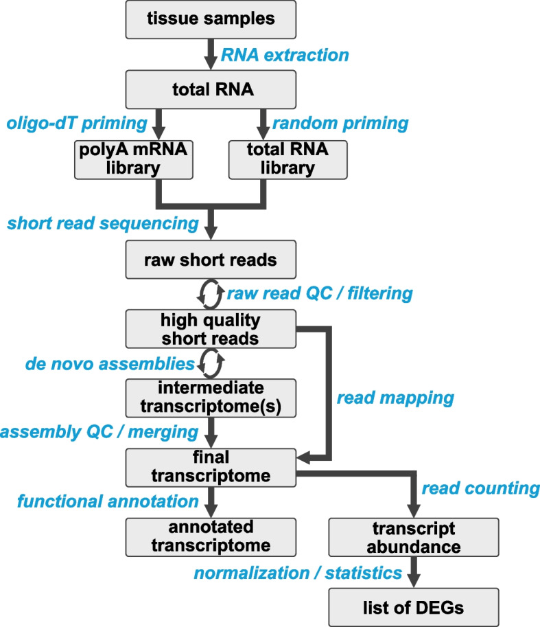 De novo assembly of transcriptomes and differential gene expression ...