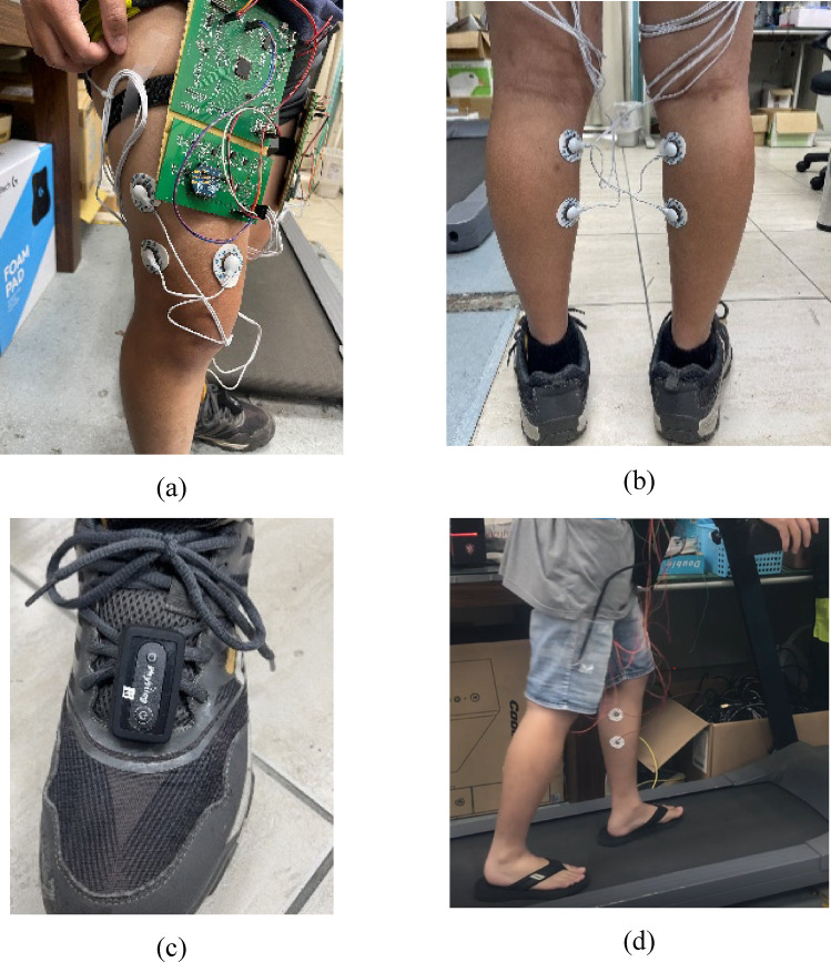 Estimating gait parameters from sEMG signals using machine learning techniques under different ...