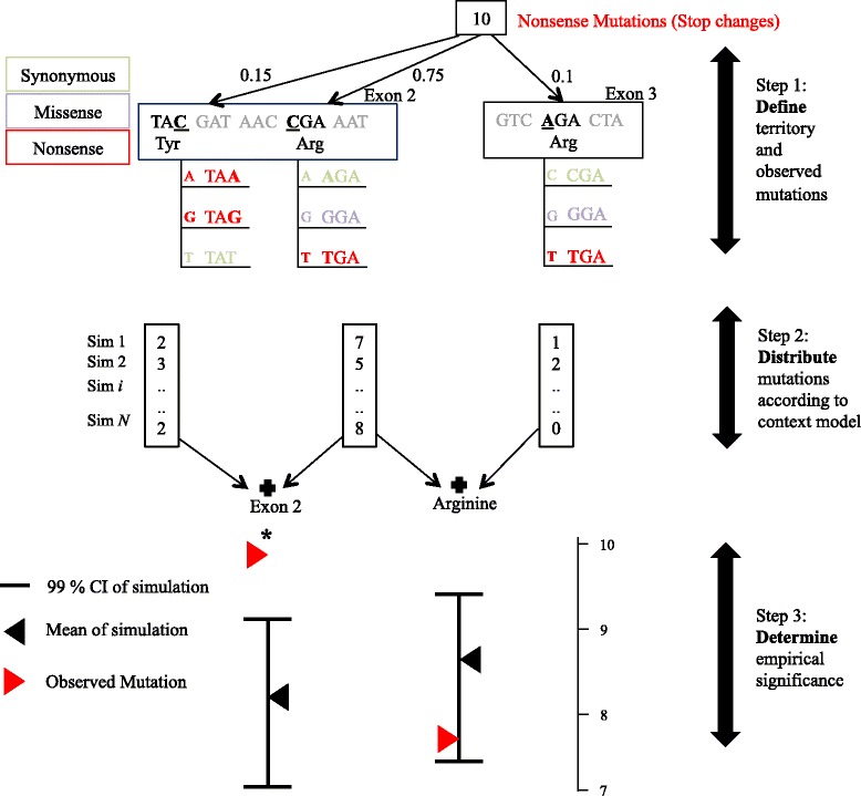 De novo mutational profile in RB1 clarified using a mutation rate ...
