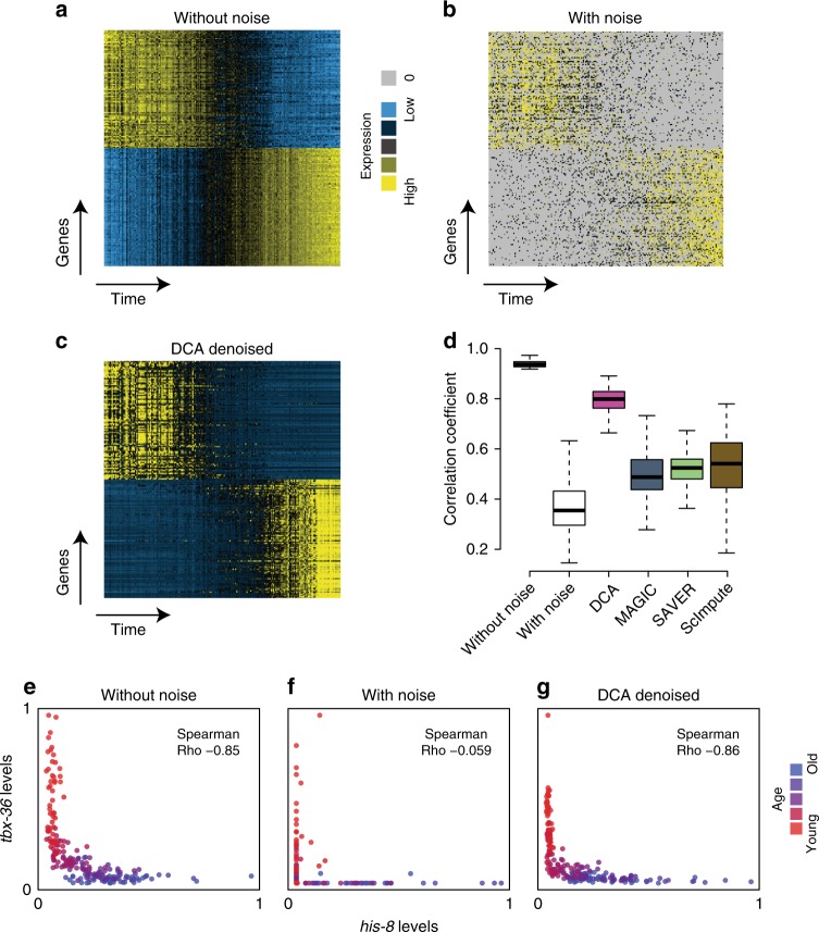 Single Cell Rna Seq Denoising Using A Deep Count Autoencoder Pmc 8260