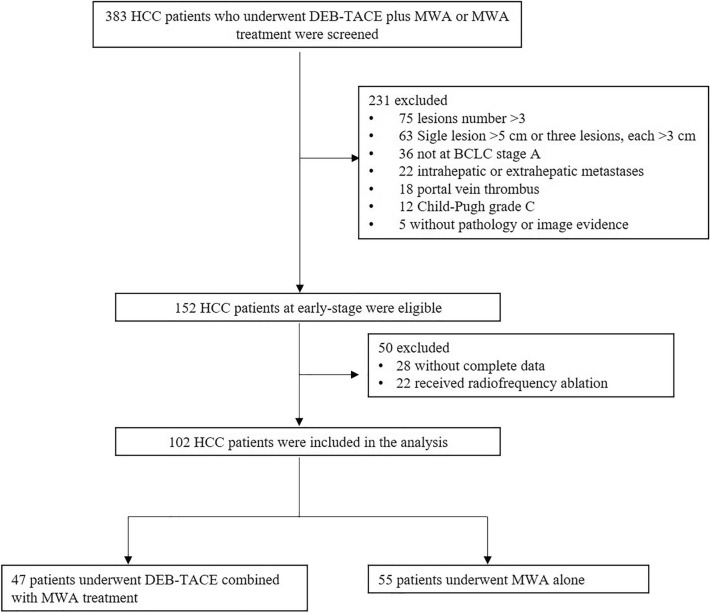 Drug-eluting bead trans-arterial chemoembolization combined with microwave ablation therapy vs ...
