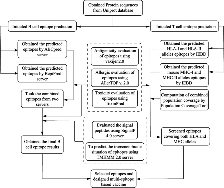 Epitope vaccine design for Toxoplasma gondii based on a genome-wide database of membrane ...