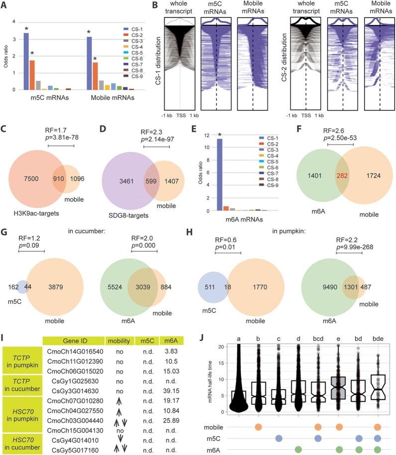 Specific Chromatin States And M6a Modifications Are Associated With