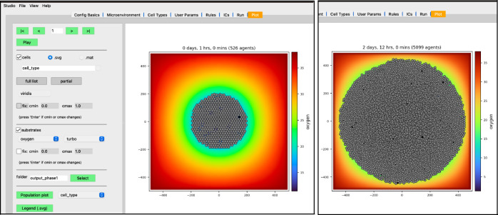 PhysiCell Studio: a graphical tool to make agent-based modeling more ...