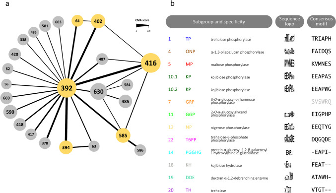 The many functions of carbohydrate-active enzymes in family GH65: diversity and application - PMC