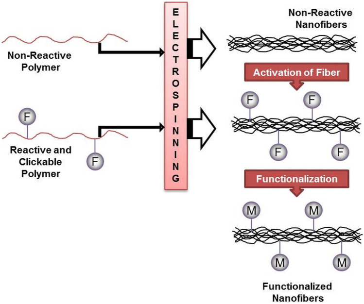 An overview on electrospinning and its advancement toward hard and soft tissue engineering ...