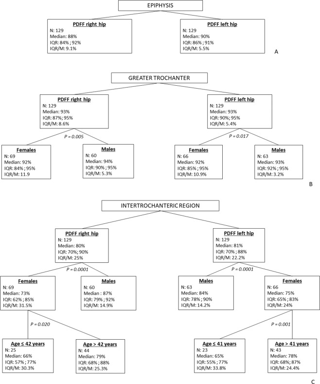 Proximal femur fat fraction variation in healthy subjects using chemical shift-encoding based ...