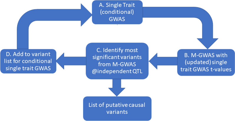 A conditional multi-trait sequence GWAS discovers pleiotropic candidate genes and variants for ...