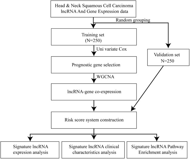 A Prognostic 5-lncRNA Expression Signature for Head and Neck Squamous Cell Carcinoma - PMC