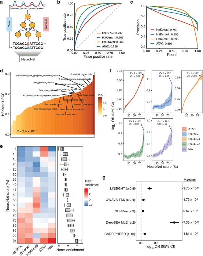 Deep learning modeling of rare noncoding genetic variants in human motor neurons defines CCDC146 ...