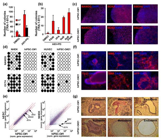Reprogramming of Human Primary Somatic Cells by OCT4 and Chemical ...
