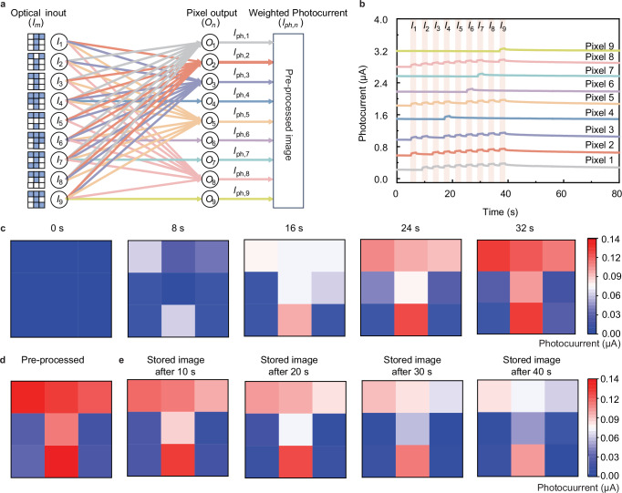 Chelated tin halide perovskite for near-infrared neuromorphic imaging array enabling object ...