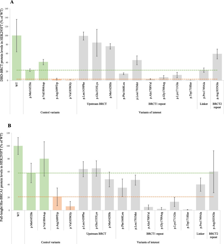 Functional analyses of rare germline BRCA1 variants by transcriptional activation and homologous ...