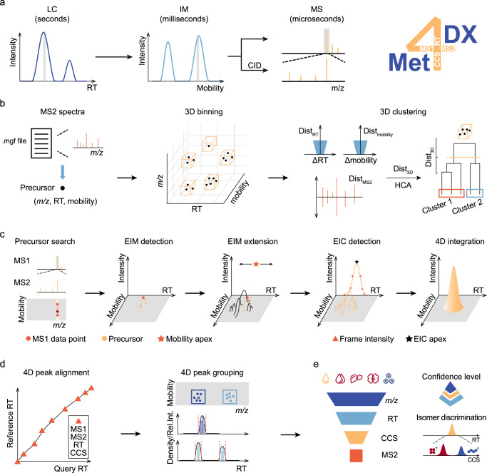 A mass spectrum-oriented computational method for ion mobility-resolved untargeted metabolomics ...