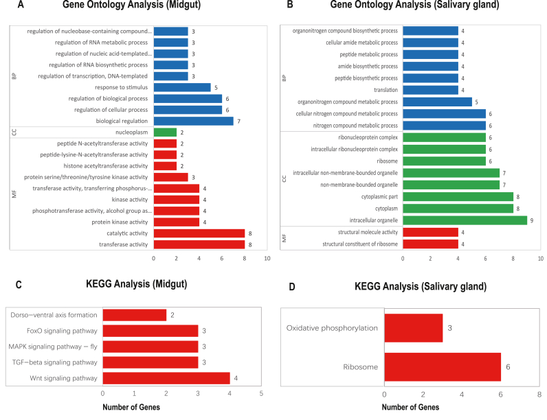 Transcriptome analysis of Aedes aegypti midgut and salivary gland post-Zika virus infection - PMC