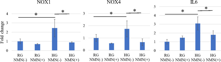 Antioxidant effect of nicotinamide mononucleotide in tendinopathy - PMC