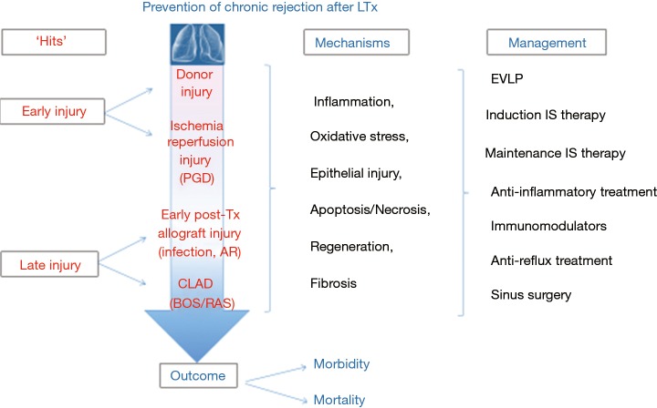Prevention of chronic rejection after lung transplantation - PMC