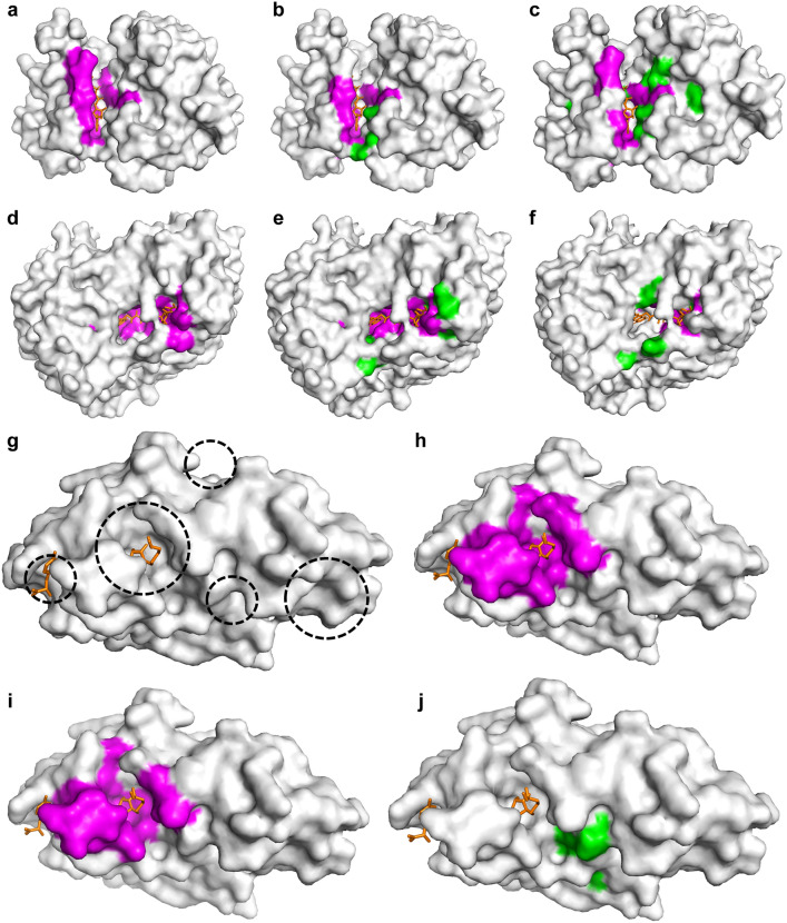 Protein-small molecule binding site prediction based on a pre-trained protein language model ...