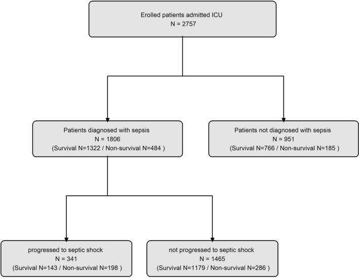 Big data insights into the diagnostic values of CBC parameters for sepsis and septic shock in ...