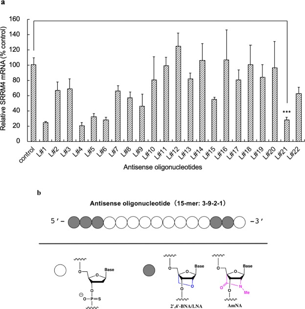 A gapmer antisense oligonucleotide targeting SRRM4 is a novel therapeutic medicine for lung ...