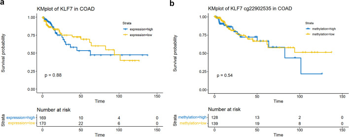 TCGAplot: an R package for integrative pan-cancer analysis and visualization of TCGA multi-omics ...